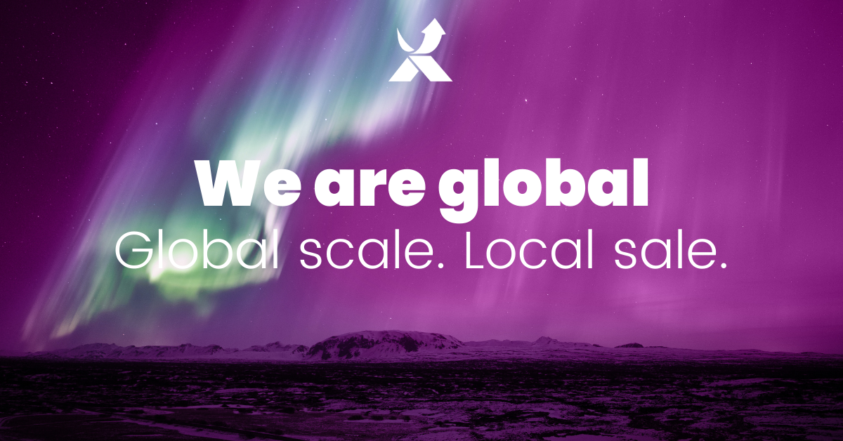 Global Coverage | Professional Services