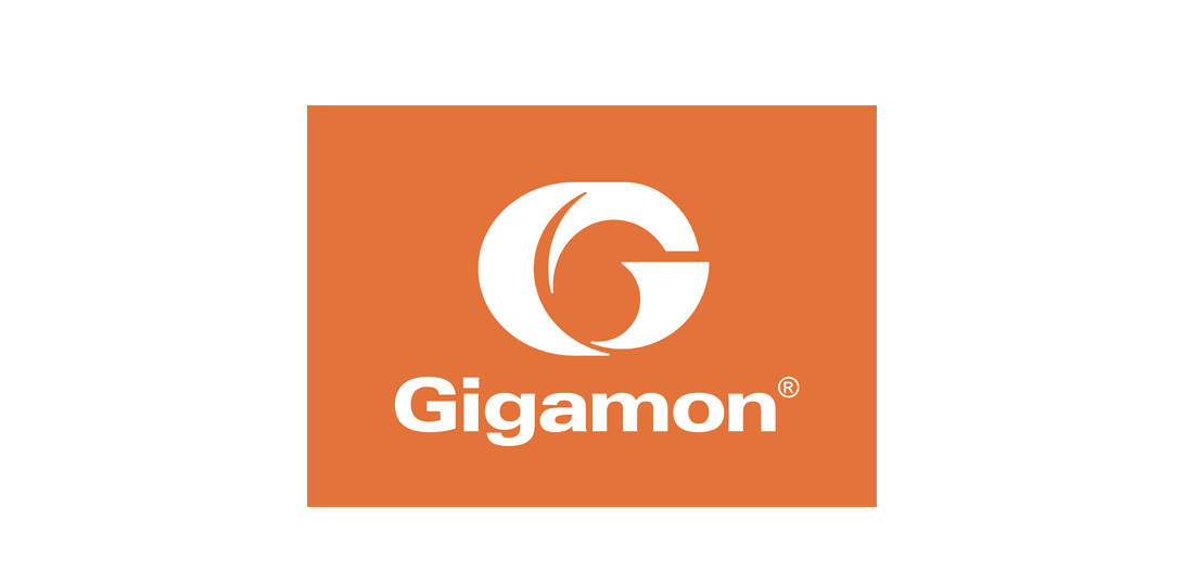 Gigamon, partenaire des entreprises pour garantir la sécurité et la ...